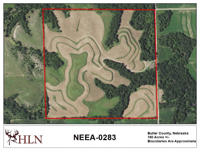 Hunting Leases | Hunting Lease Network