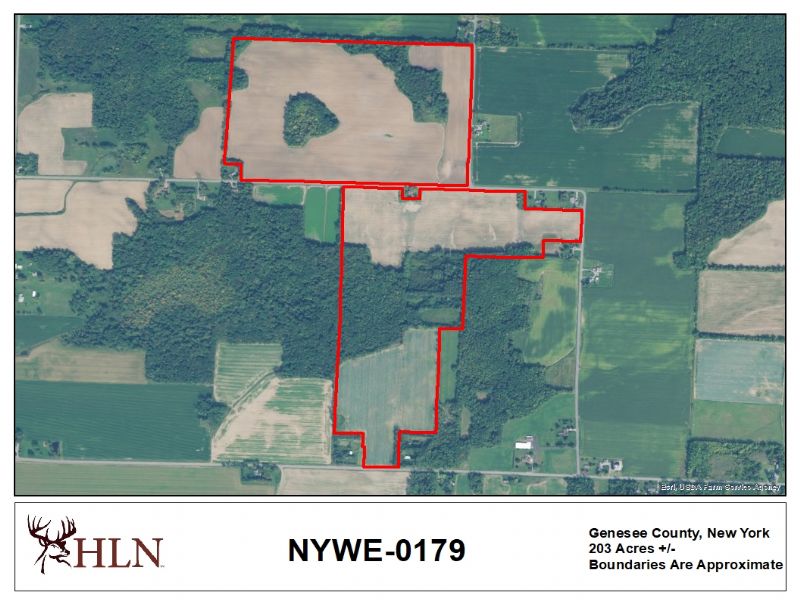 Hunting Leases | Hunting Lease Network